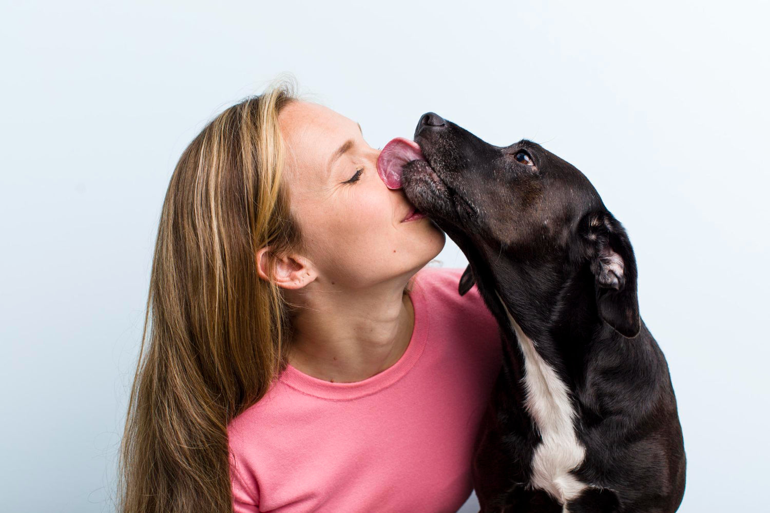 Hvorfor slikker min hund på mig? | Totteland.dk