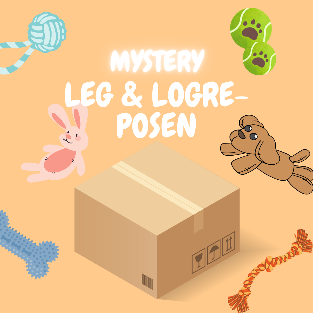 Mystery Box - Leg & Logre