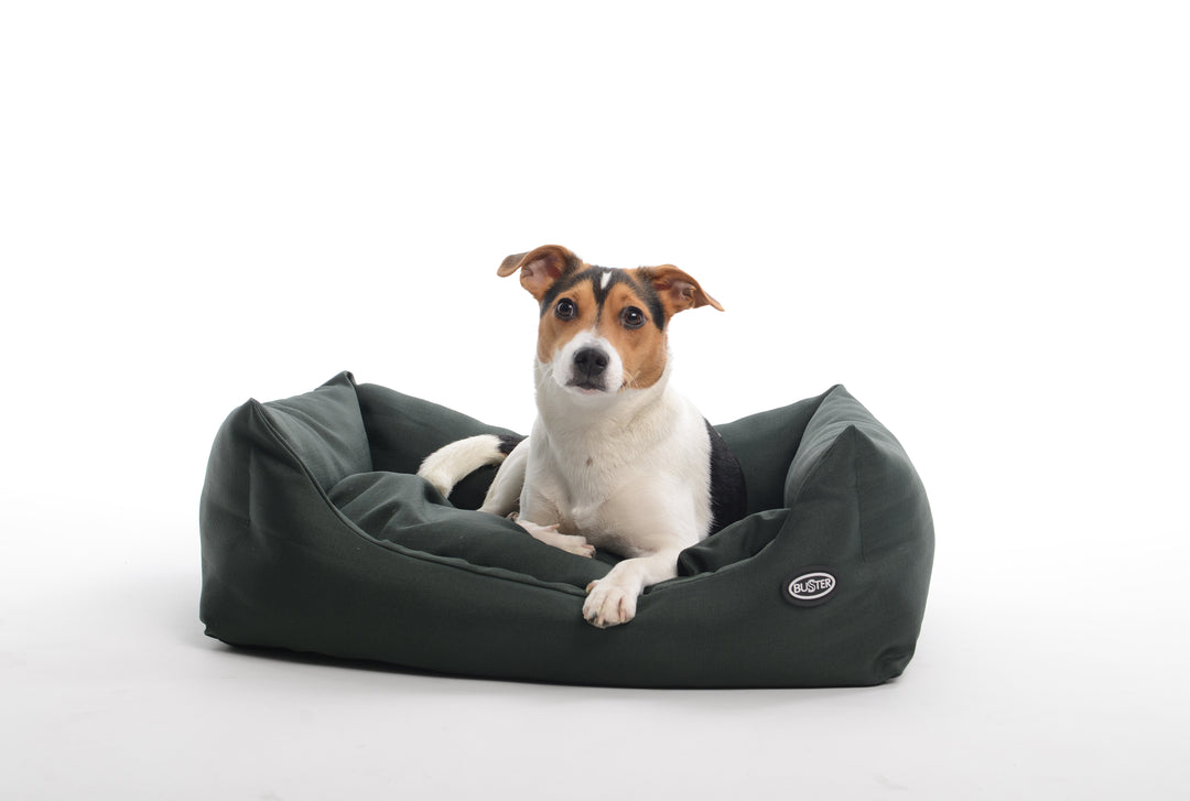 Hundeseng til store hunde